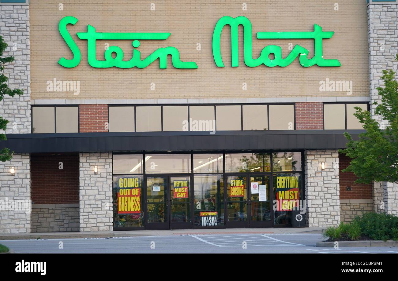 Stein Mart Models Female