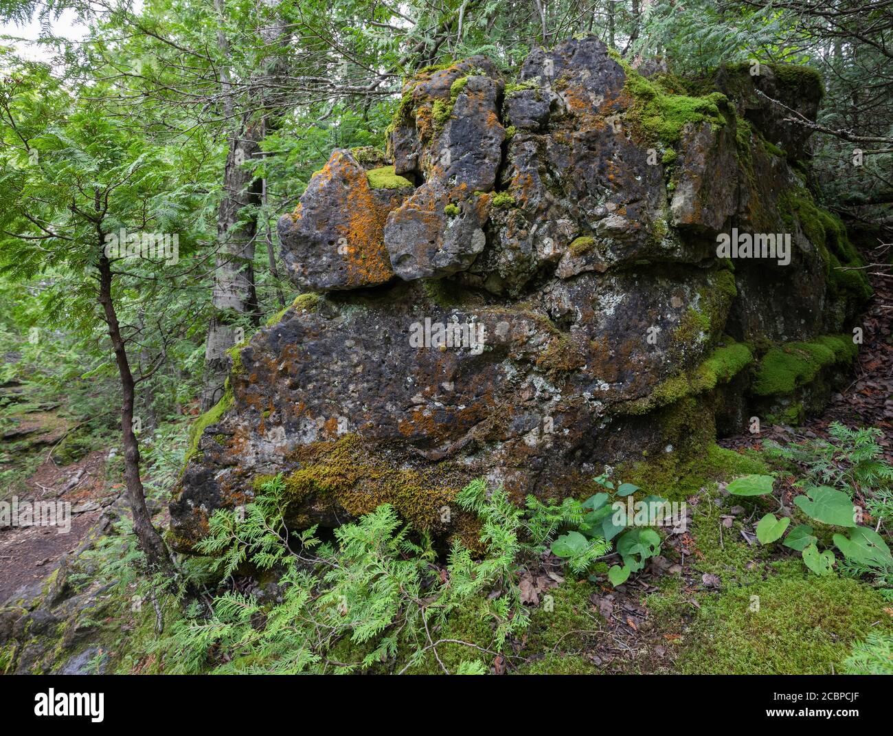 Dolostone hi-res stock photography and images - Alamy