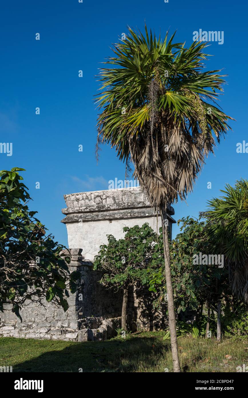 The Temple of the Diving God or Descending God in the ruins of the ...