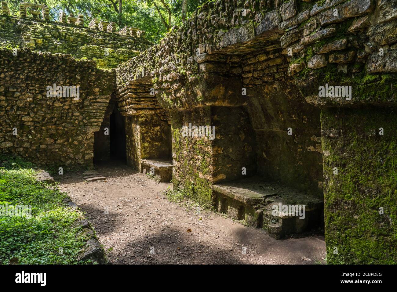 The entrance to the ruins of the Mayan city of Yaxchilan through the ...
