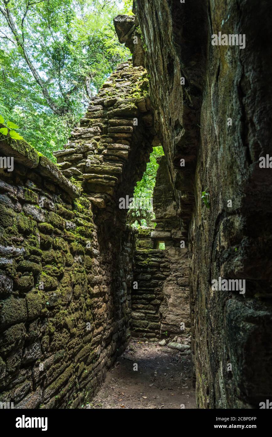 The interior of Temple 30, showing a corbeled arch, in the ruins of the ...