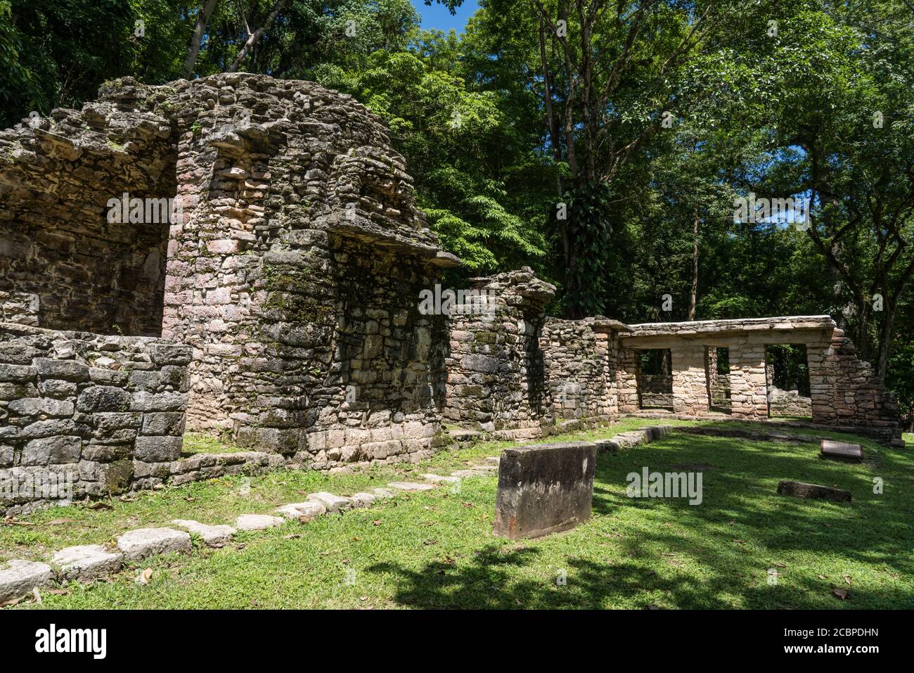 Temples 23 and 24 in the ruins of the Mayan city of Yaxchilan on the ...
