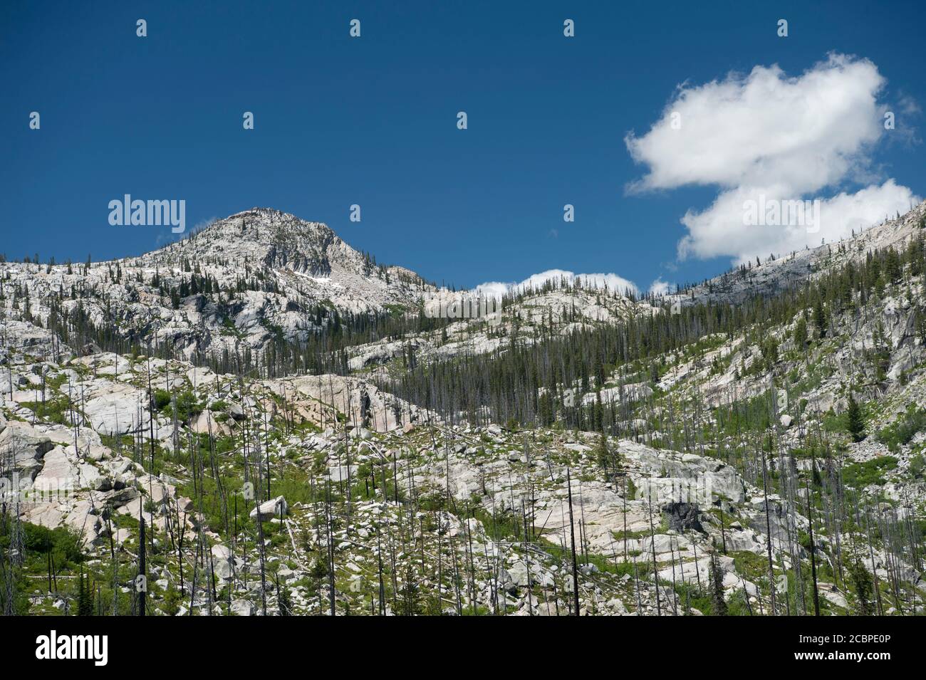 Batholith hi-res stock photography and images - Alamy