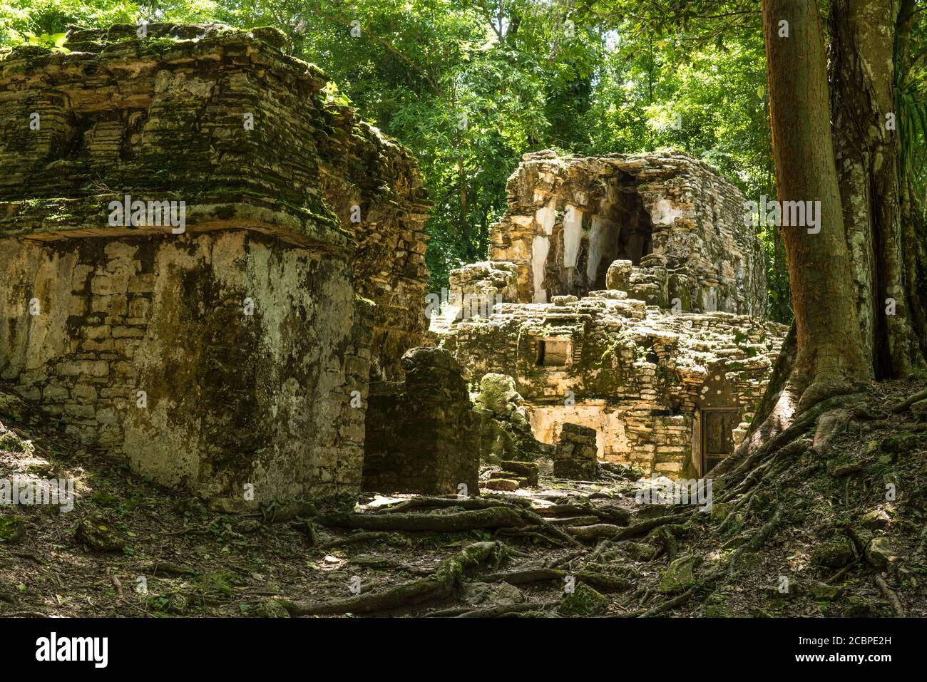 Building 6 in the ruins of the Mayan city of Yaxchilan on the ...