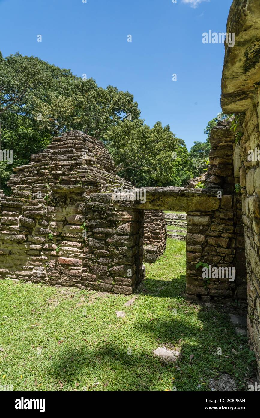Ruins of Temple 11 in the ruins of the Mayan city of Yaxchilan on the ...