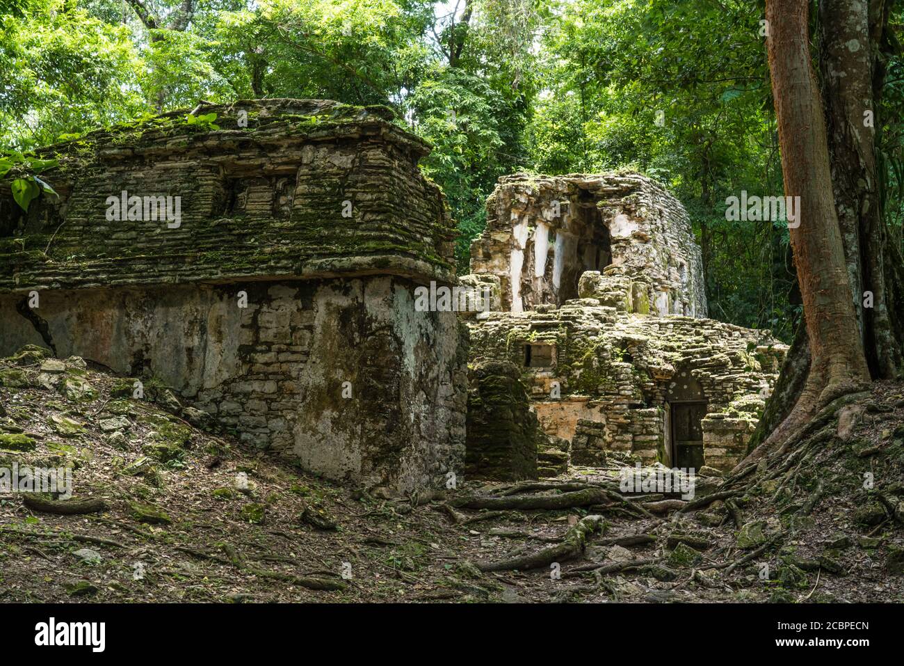 Building 6 in the ruins of the Mayan city of Yaxchilan on the ...