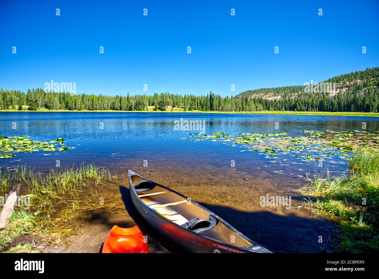 Loon Lake High Resolution Stock Photography and Images - Alamy