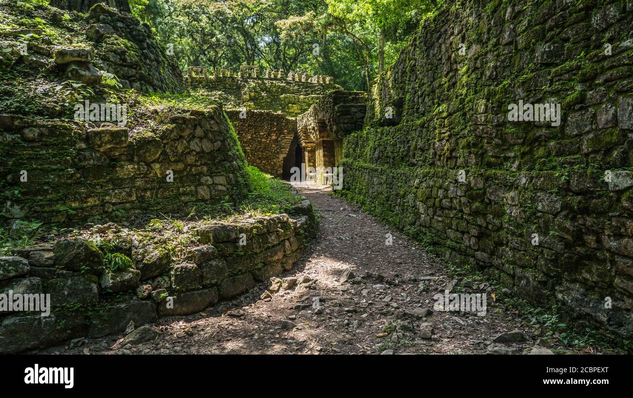 The entrance to the ruins of the Mayan city of Yaxchilan through the ...