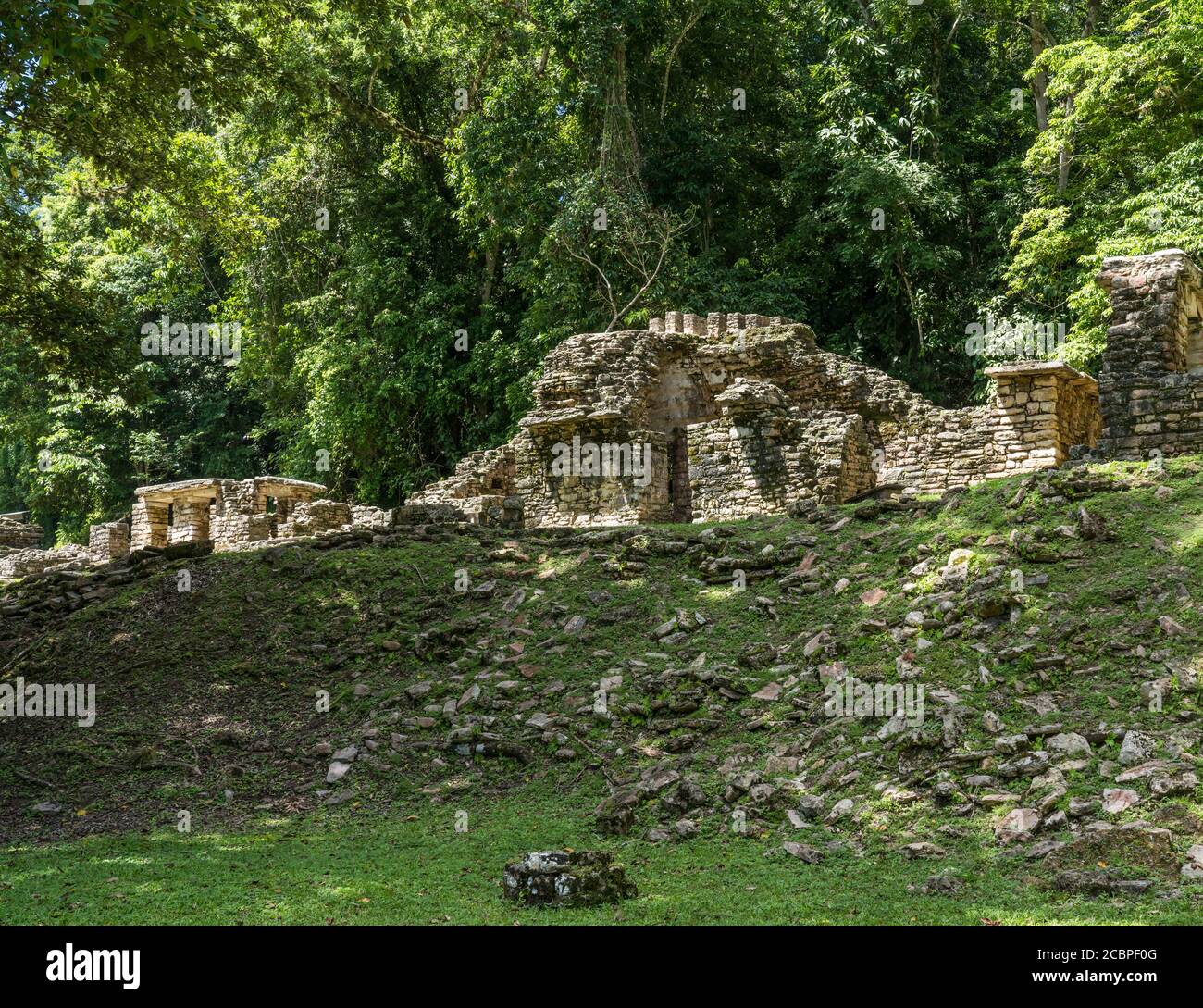 Temples 22, 23, and 24, from left to right, in the ruins of the Mayan ...