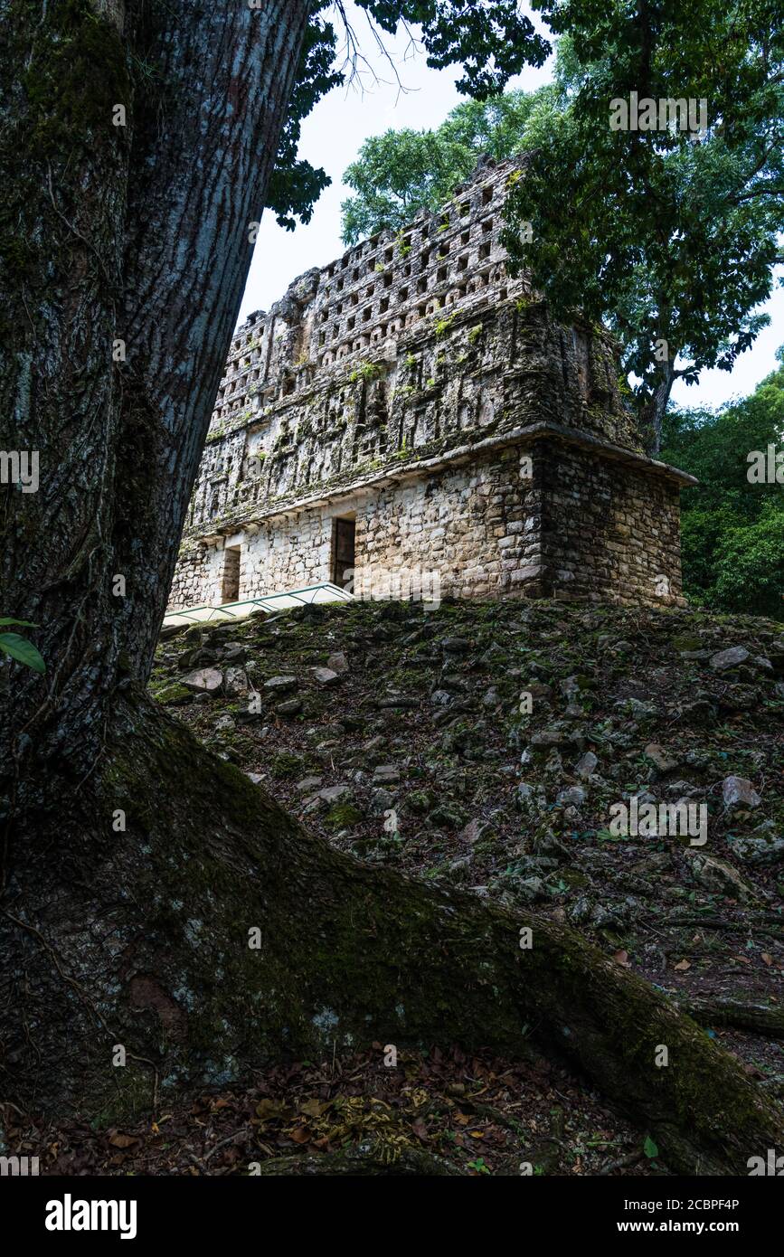 Temple 33 in the ruins of the Mayan city of Yaxchilan on the Usumacinta ...