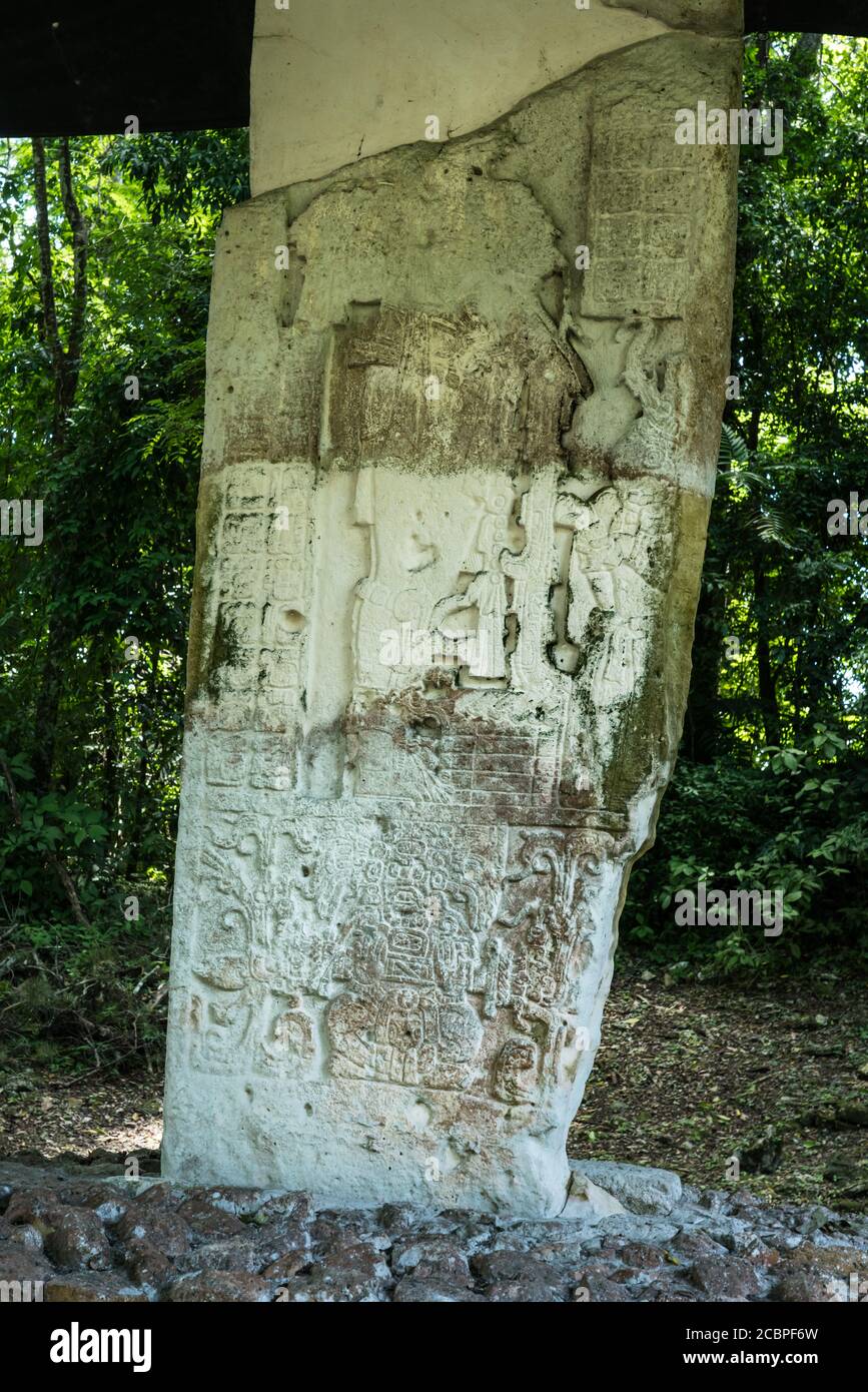 Stela 1 depicts Bird Jaguar IV performing a "dispersion" ceremony in ...