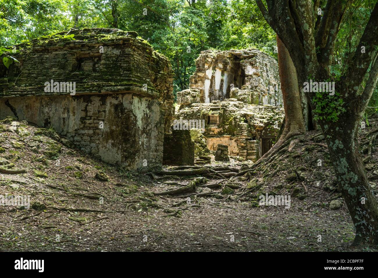 Building 6 in the ruins of the Mayan city of Yaxchilan on the ...