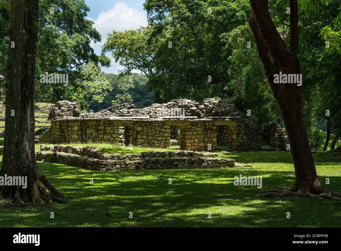 Building 16 in the ruins of the Mayan city of Yaxchilan on the ...