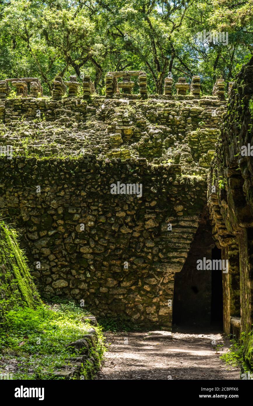 The entrance to the ruins of the Mayan city of Yaxchilan through the ...