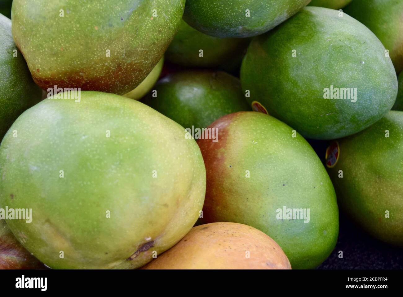 Closeup shot of green tropical mangos Stock Photo - Alamy