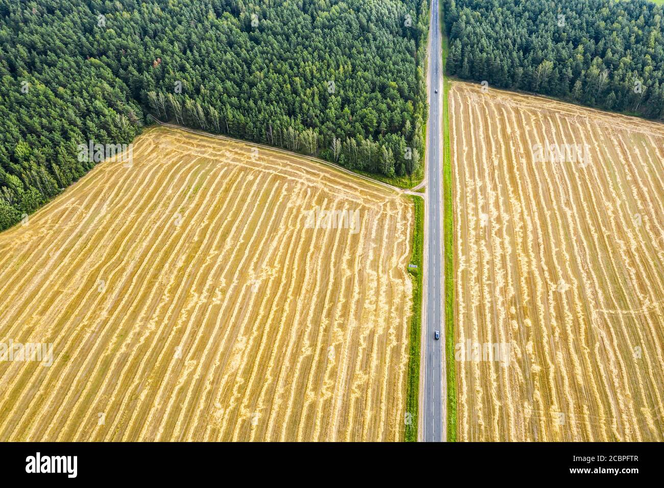 wheat field after harvest. agricultural landscape in the summer time ...