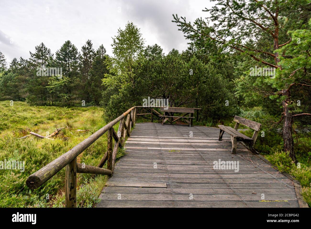 The beautiful nature reserve Wilhelmsdorf Pfrunger Ried in Upper Swabia ...