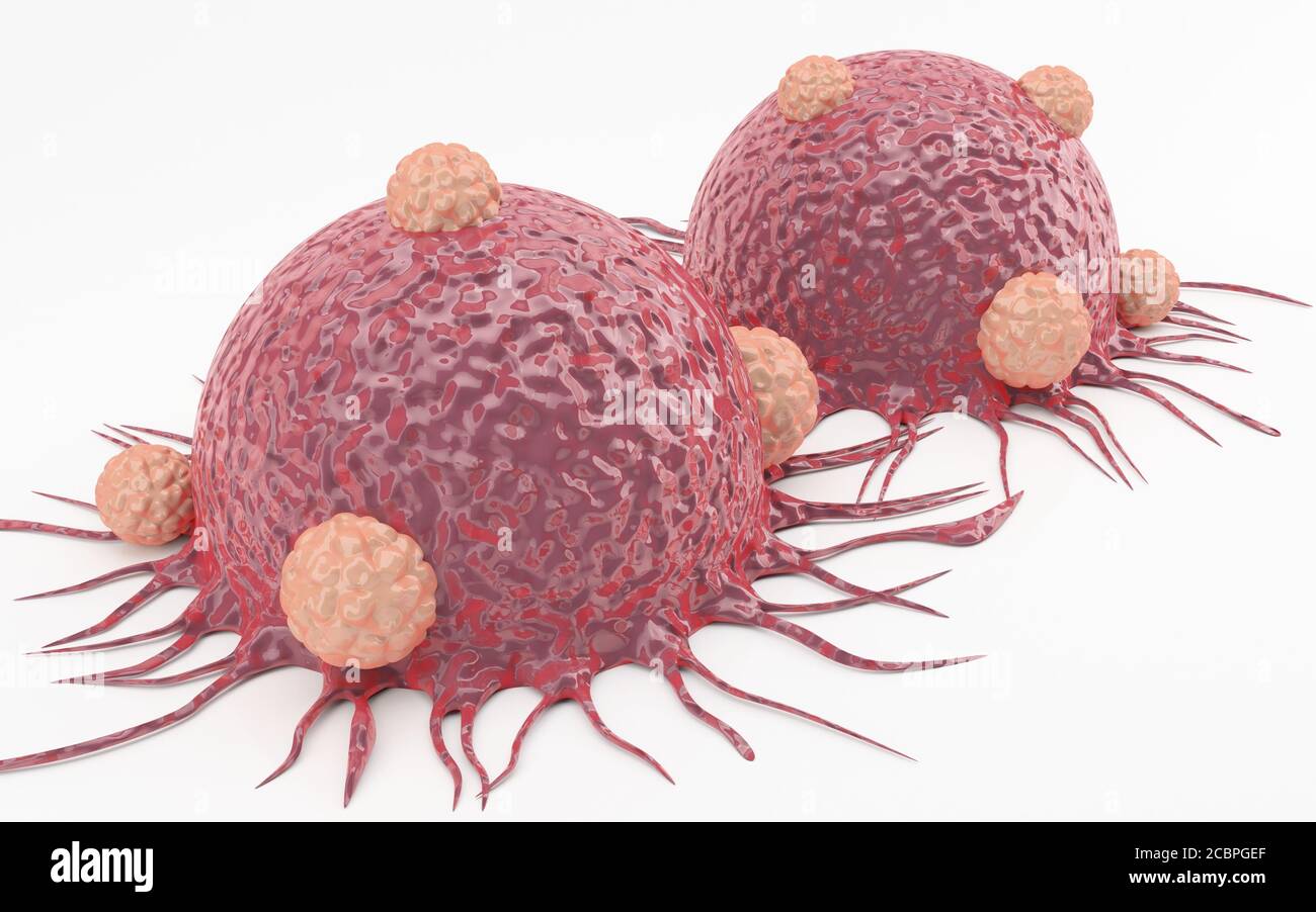 Cancer Cells On White