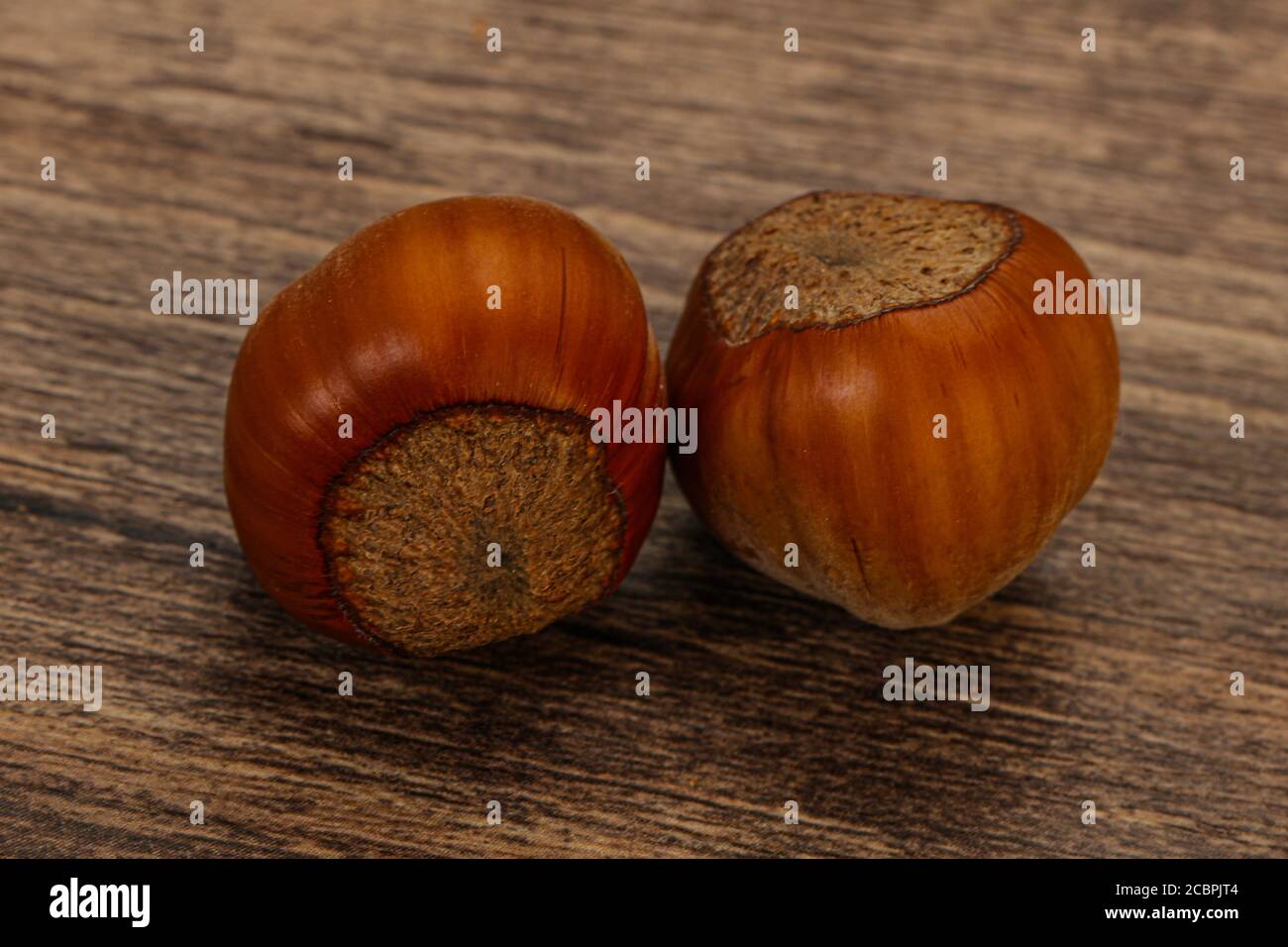 Two ripe tasty Whole hazelnut (hazel Stock Photo - Alamy