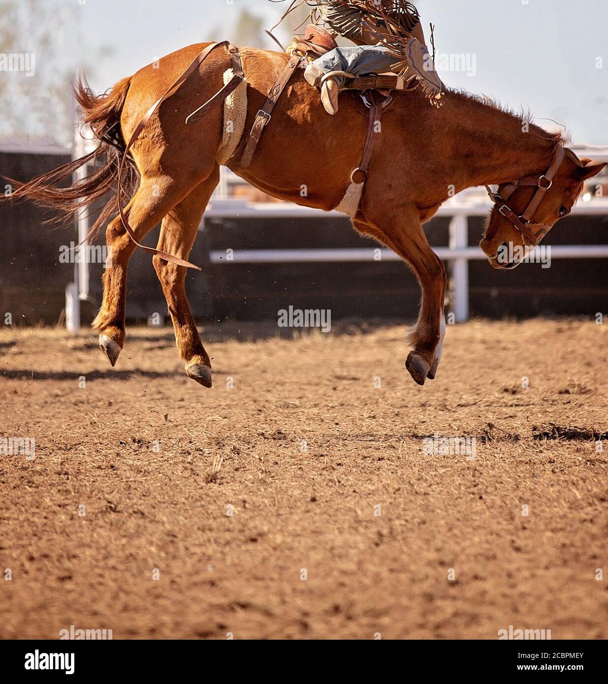 Cowboy competing in saddle bronc event at a country rodeo Stock Photo ...