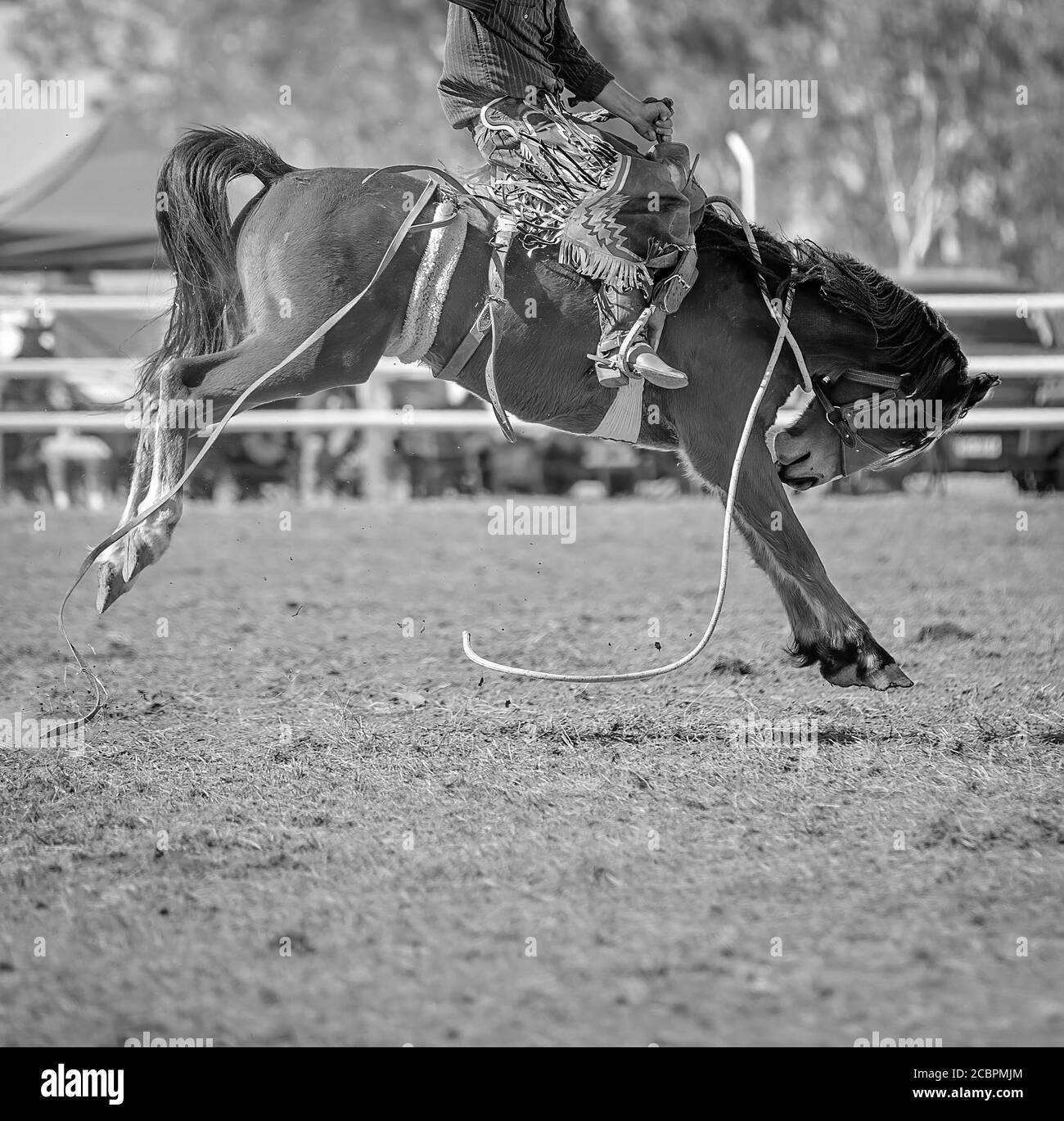 Bucking Horse At Australian Country Rodeo Stock Photo - Alamy