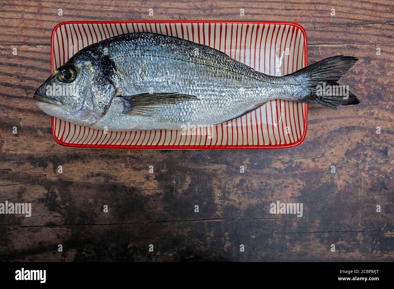 Striped sea bream hi-res stock photography and images - Alamy