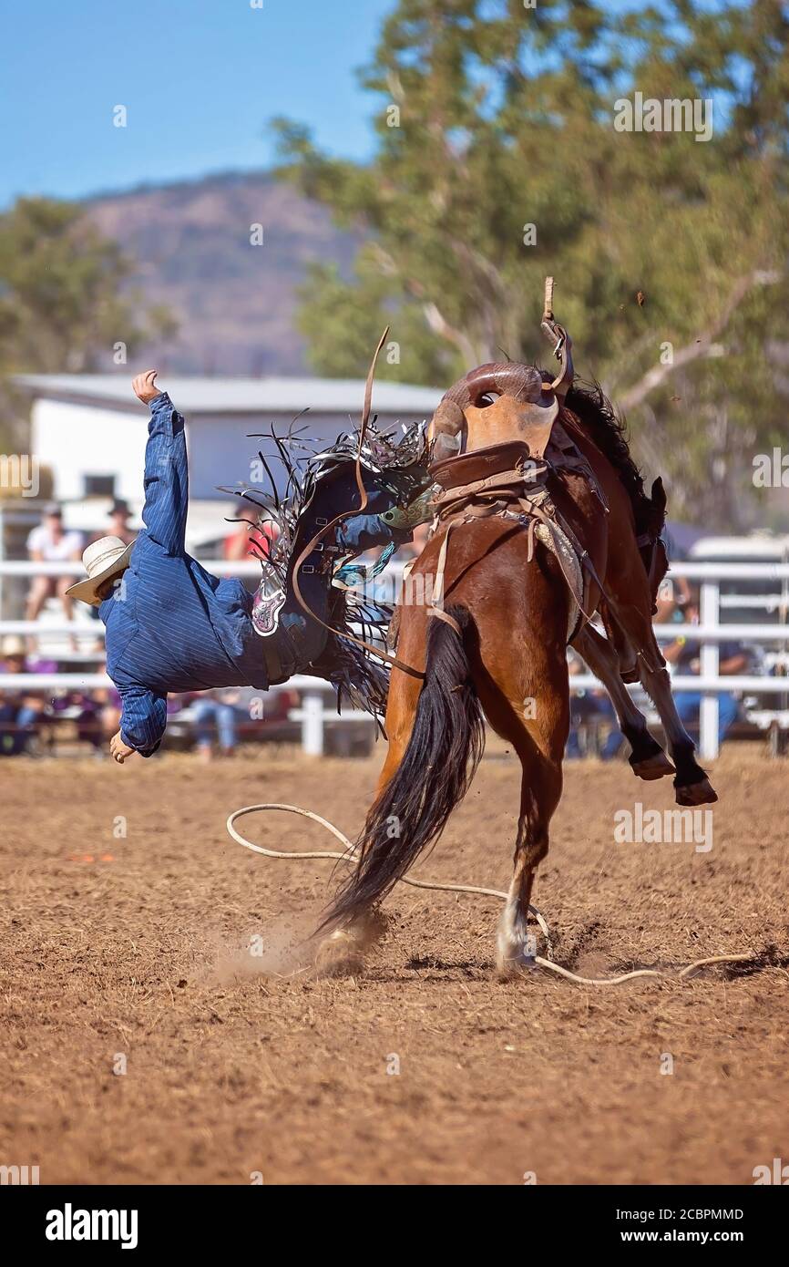 Bucking Horse At Australian Country Rodeo Stock Photo - Alamy