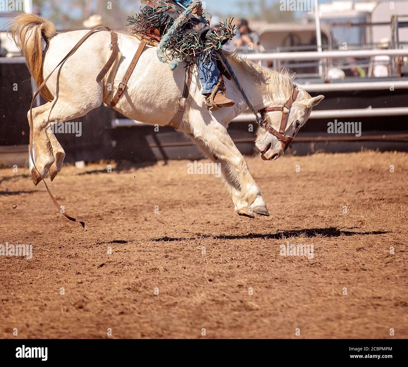 Rodeo western australia hi-res stock photography and images - Alamy