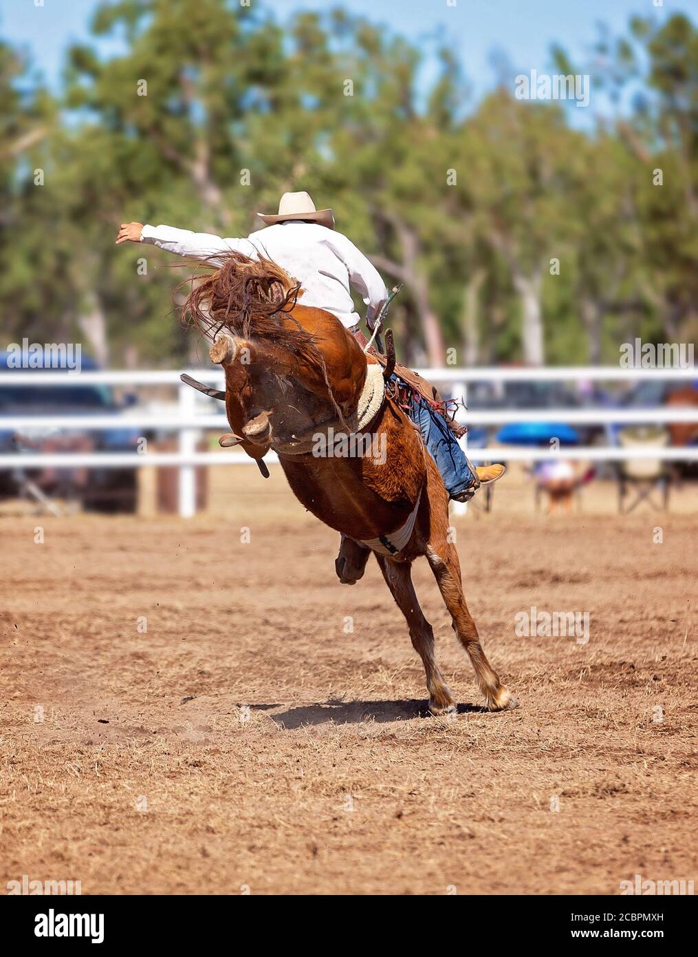 Cowboy rides bucking bronc horse at country rodeo Stock Photo - Alamy