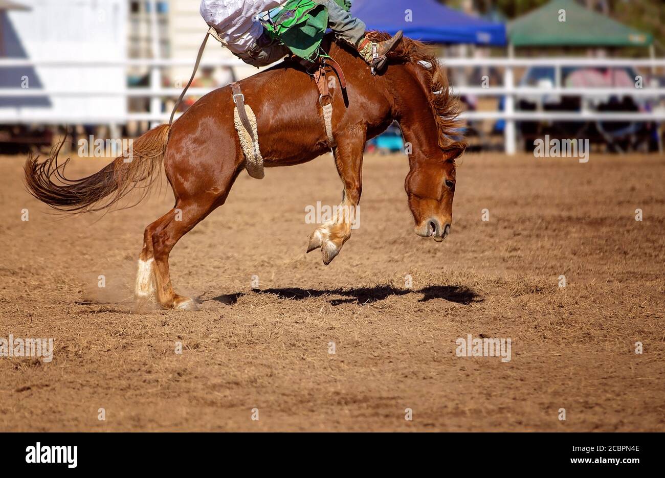 Cowboy competing in saddle bronc event at a country rodeo Stock Photo ...