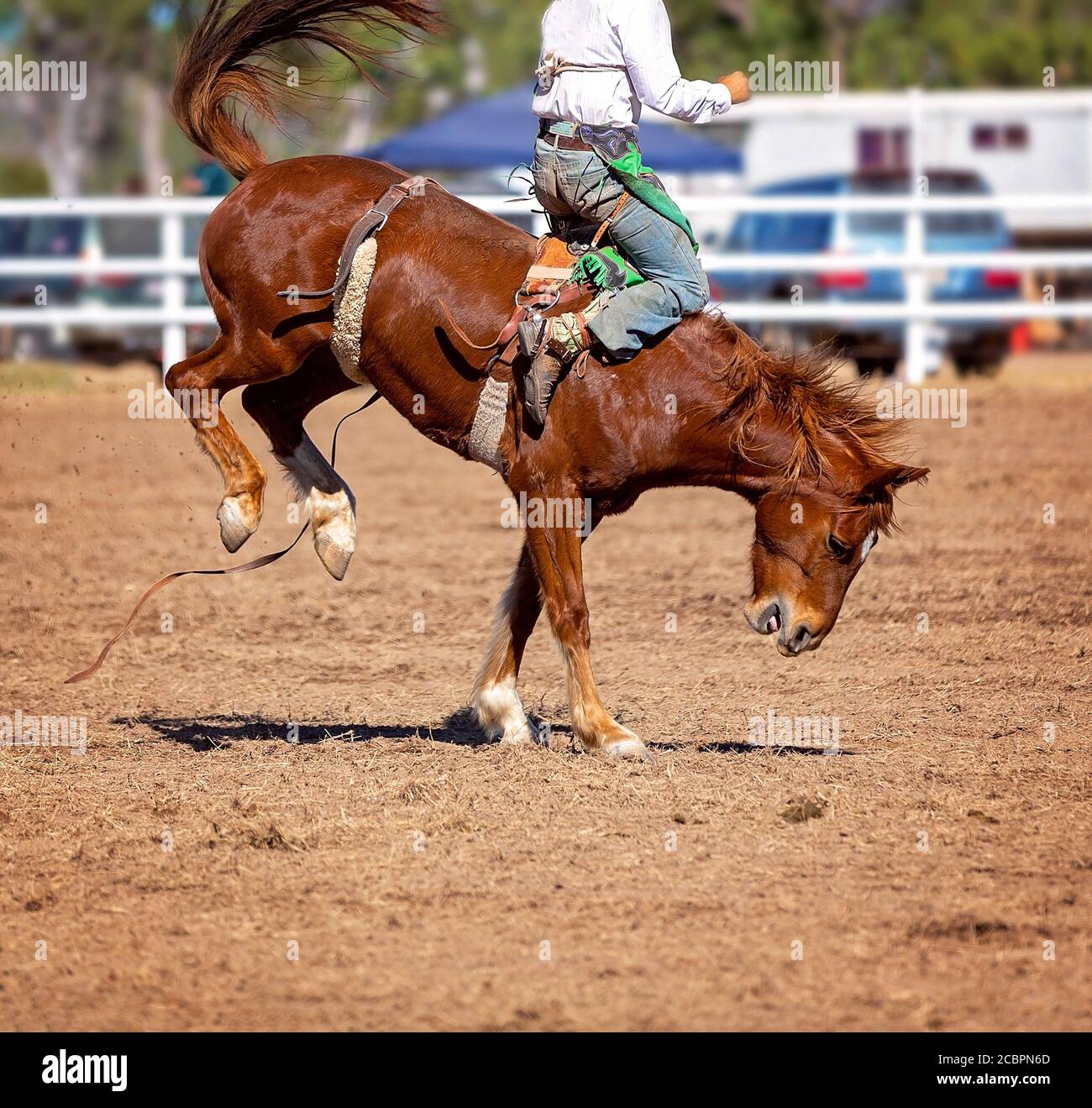 Cowboy competing in saddle bronc event at a country rodeo Stock Photo ...