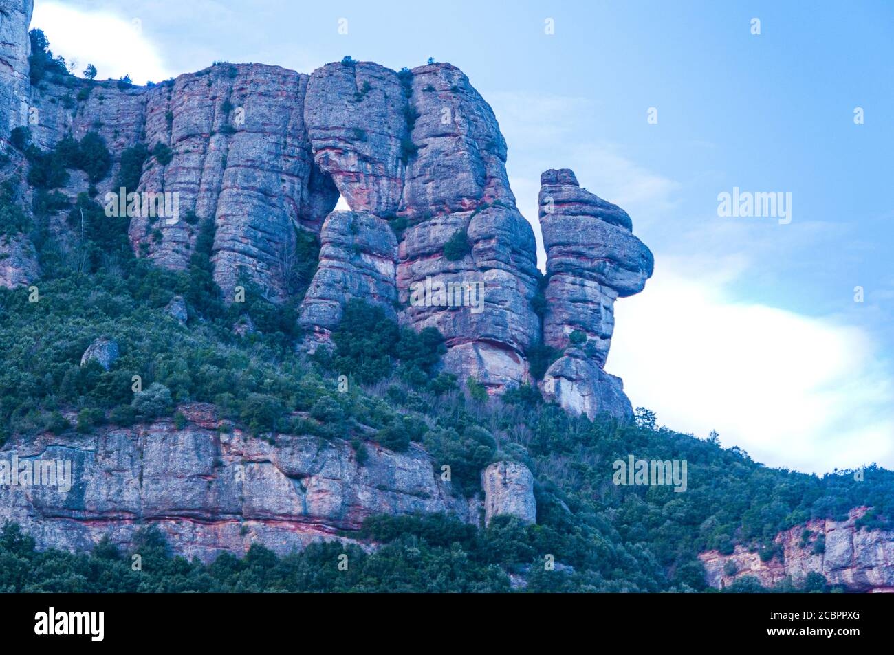 Low angle shot of a rocky cliff covered with greenery in Montserrat ...
