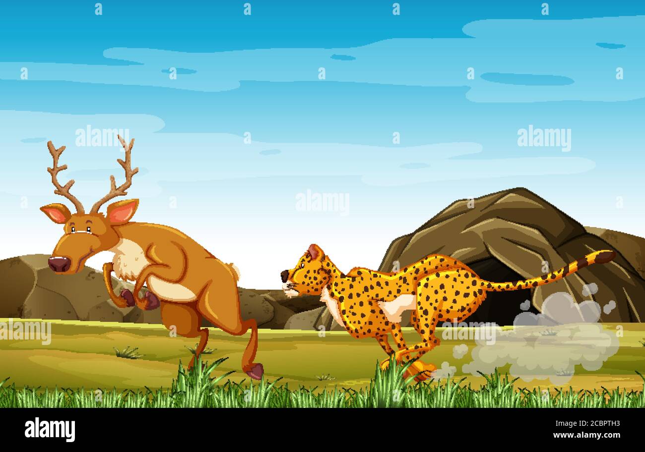Leopard hunting deer in cartoon character on the forest background ...