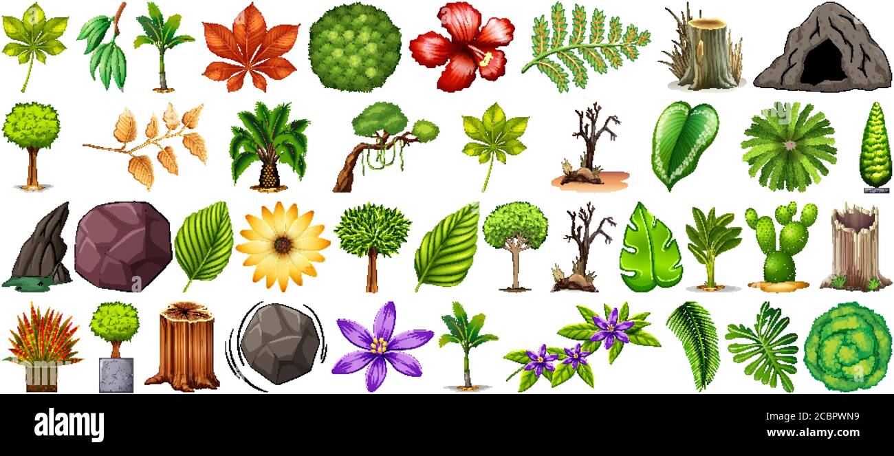 Set of different nature isolated on white background illustration Stock ...