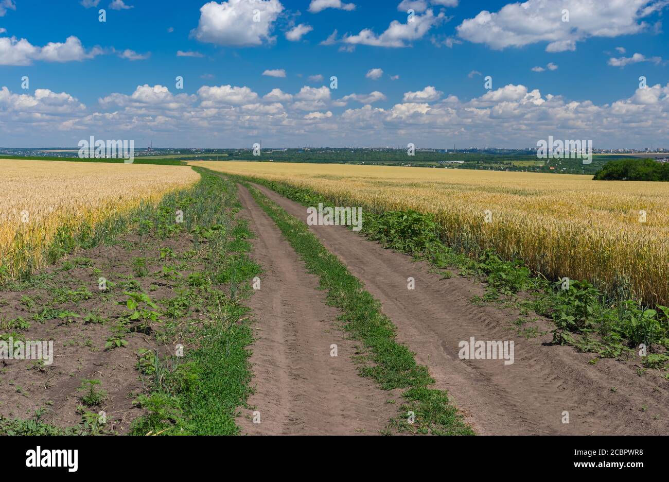 Green yellow fields farming skyline hi-res stock photography and images ...