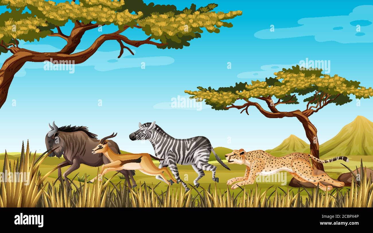 Wild animal running in nature illustration Stock Vector Image & Art - Alamy