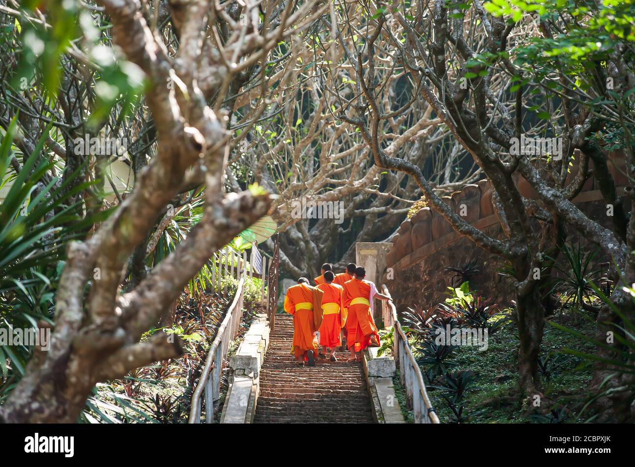 Novice monks walking hi-res stock photography and images - Alamy