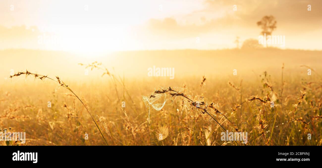 Facebook Cover Photos Country Field