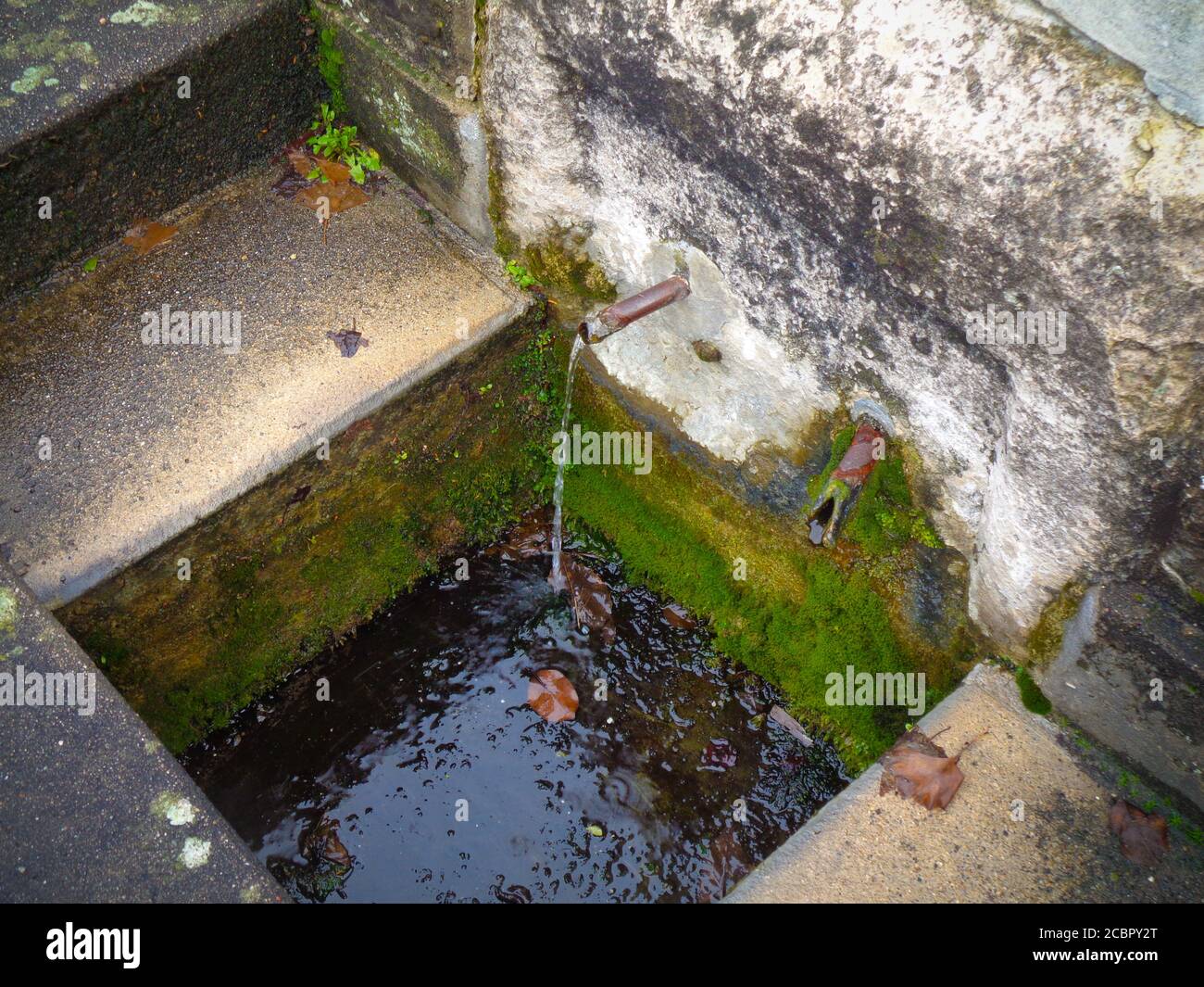 Spring flowing into a mossy concrete box Stock Photo - Alamy