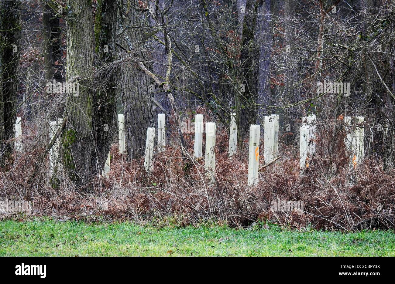 Protective covers trees hi-res stock photography and images - Alamy