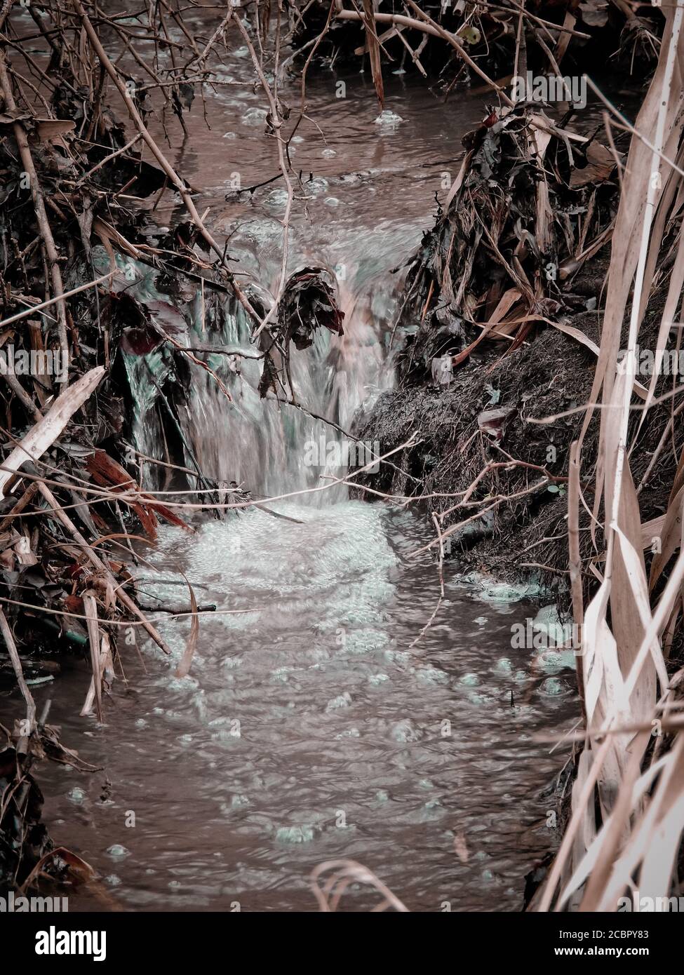 Small cascade f water at a stream in the forest Stock Photo - Alamy