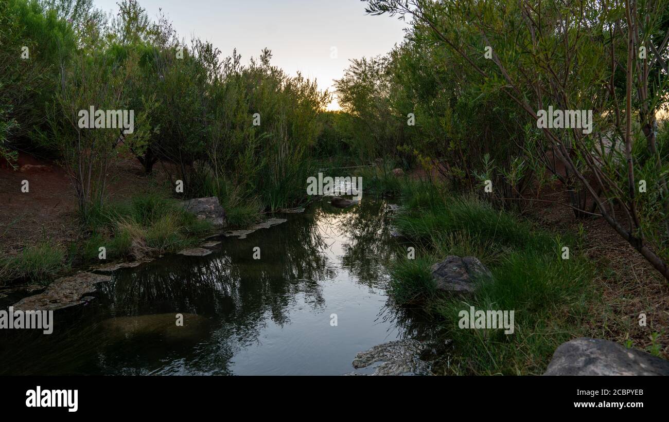 Creek surrounded by greens and trees in St.George city Stock Photo - Alamy