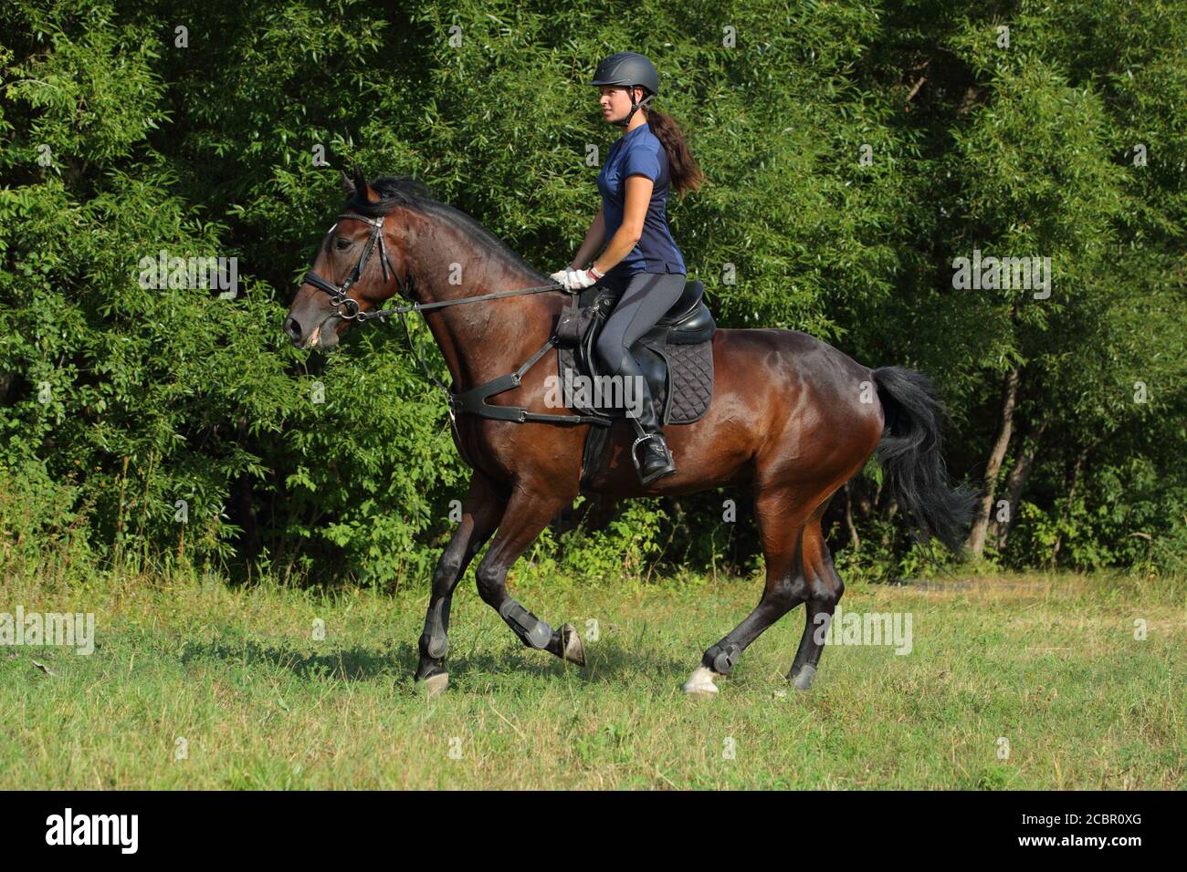 Equestrian helmet hi-res stock photography and images - Alamy