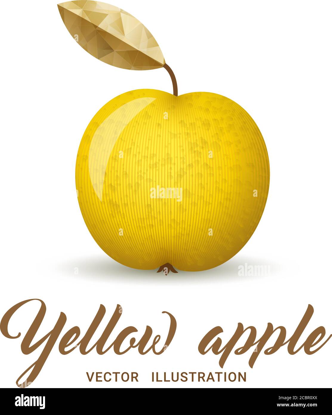 Realistic yellow apple, isolated on white - vector illustration. Big ...