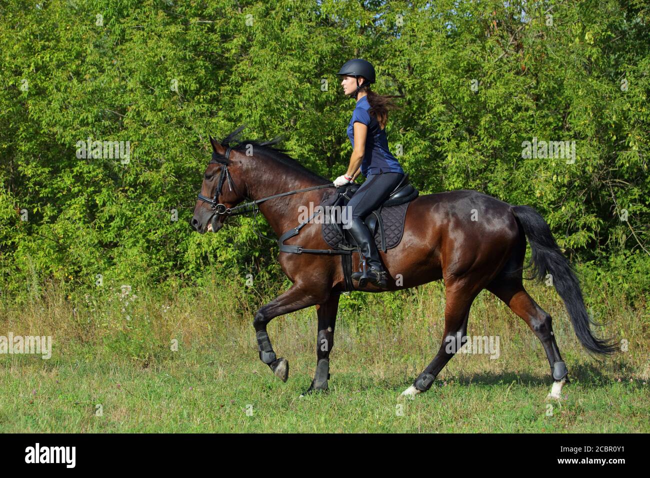 Female horseback rider uniform hi-res stock photography and images - Alamy