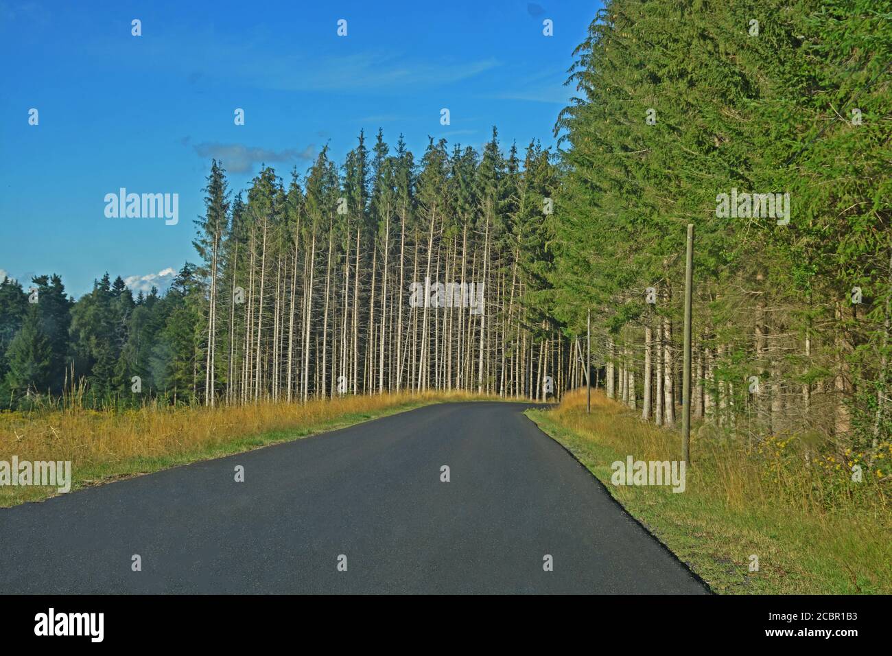 mountain road, Livradois-Forez, Puy-de-Dome, Auvergne, Massif-Central ...