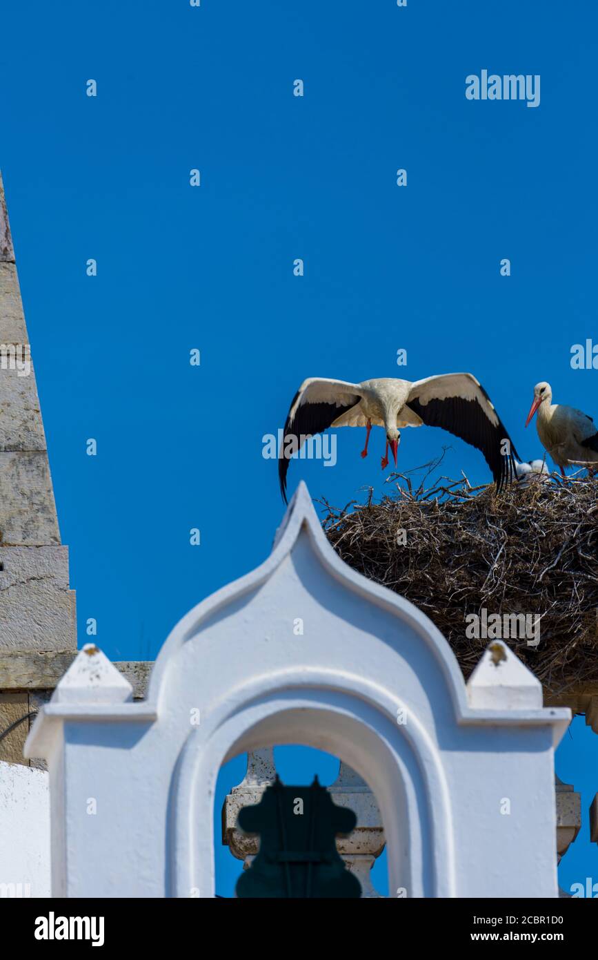 stork nests on Arco da Vila, a medieval gate in Faro, Algarve, Portugal ...