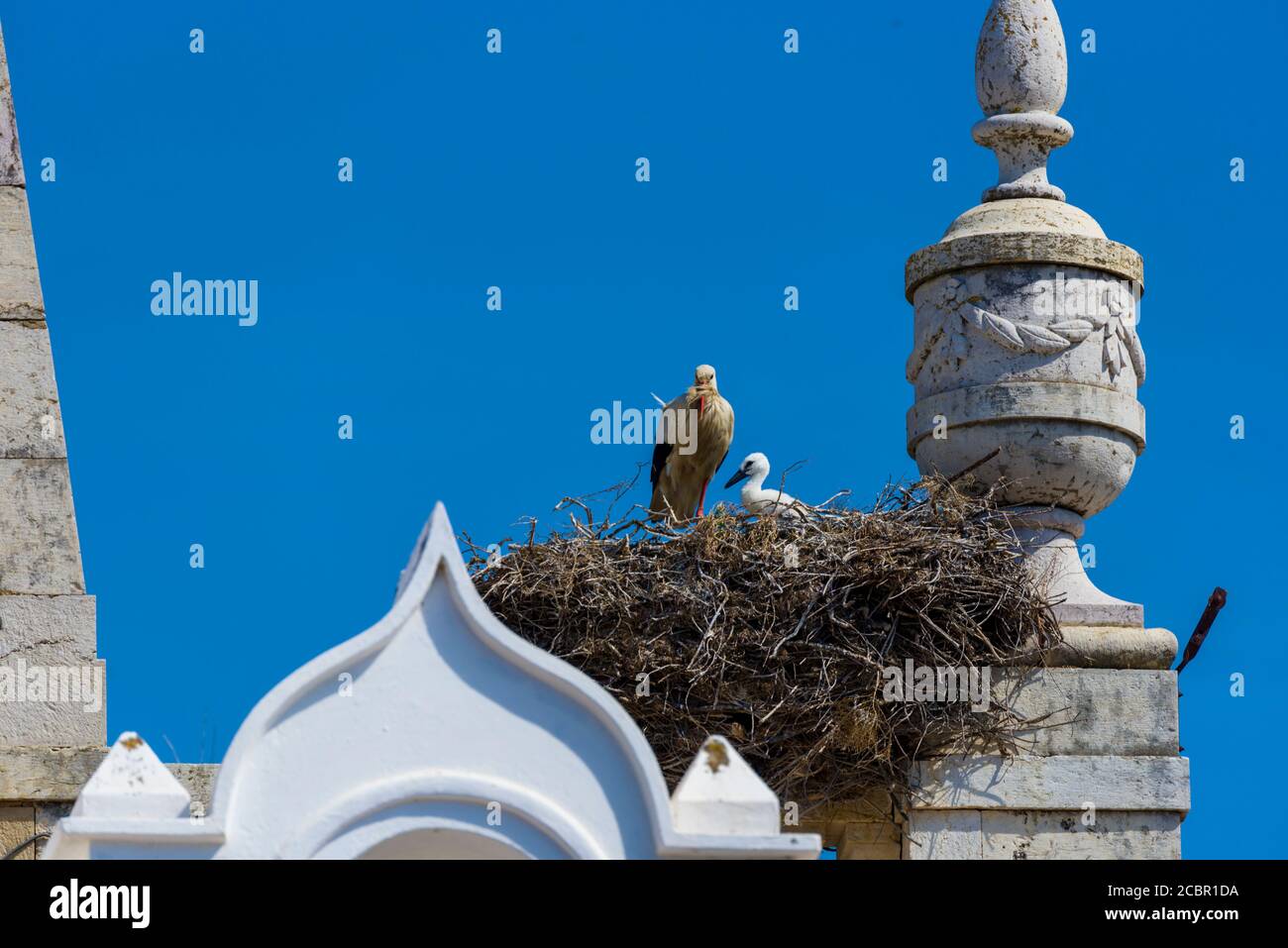 Stork nests in faro hi-res stock photography and images - Alamy