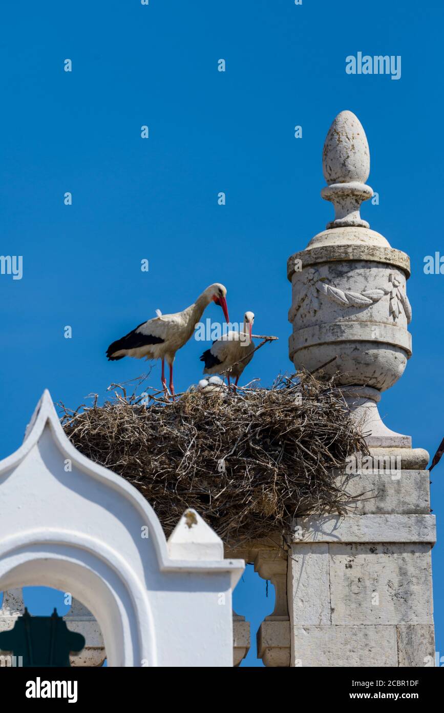 stork nests on Arco da Vila, a medieval gate in Faro, Algarve, Portugal ...
