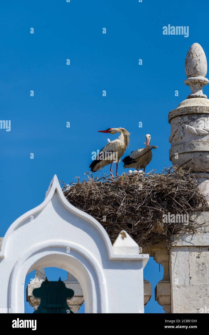 stork nests on Arco da Vila, a medieval gate in Faro, Algarve, Portugal ...